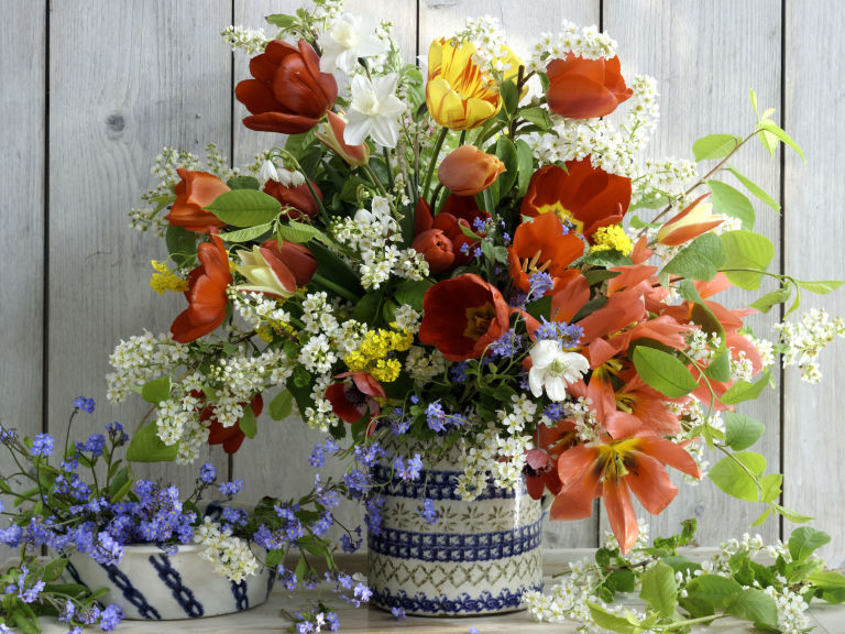 The Most Effective Types Of Flowers To Give To Father Moyses Flowers