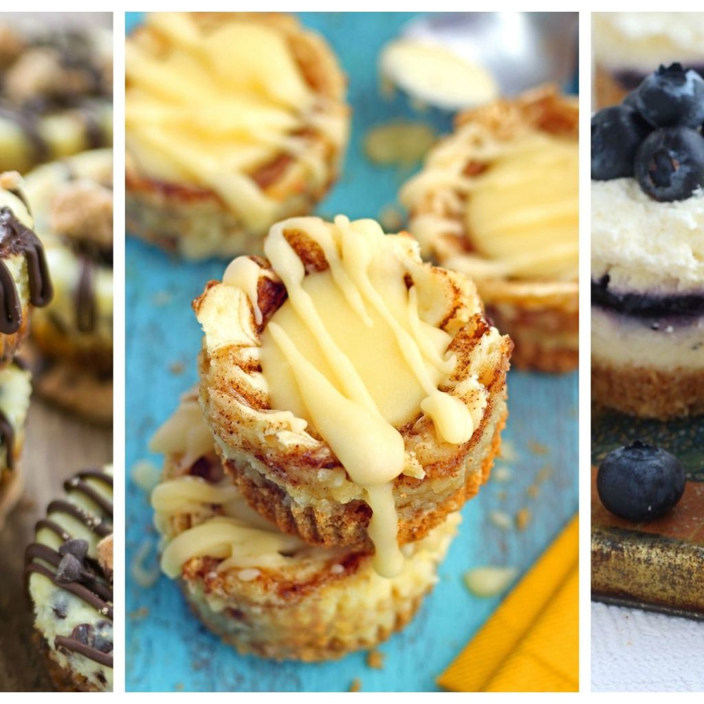 Assorted Mini Cheesecakes Recipes Informacionpublica Svet Gob Gt