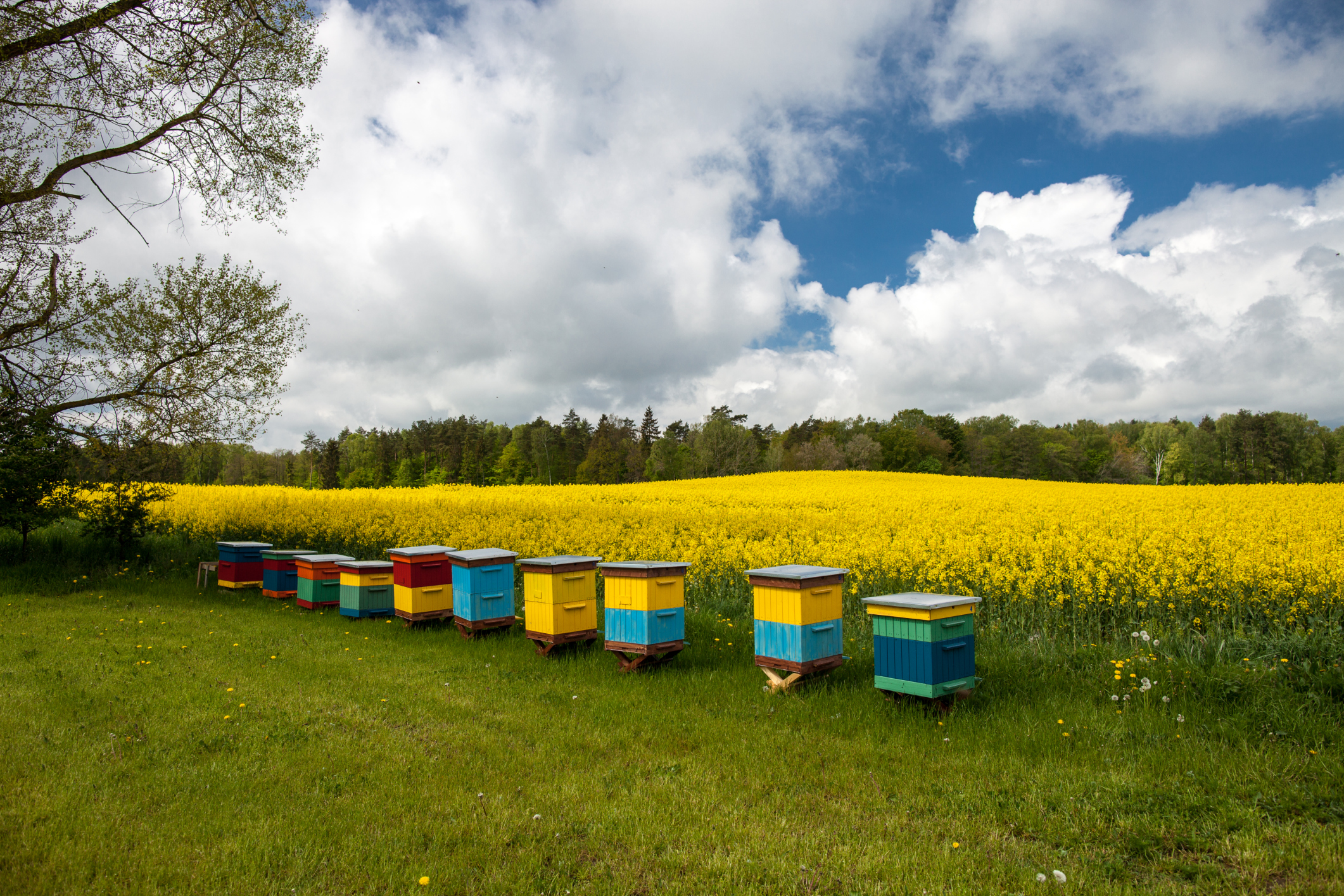 DIY Beehive Ideas Creative Ideas For Beekeeping diy-beehive-ideas-creative-ideas-for-beekeeping