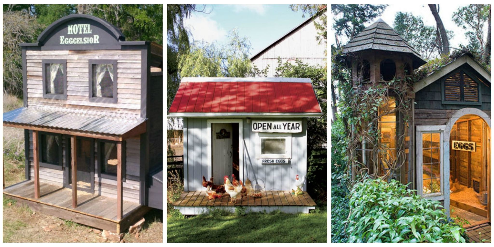 Modern House Design Best Chicken Chicken Coop 10 Chickens Modern