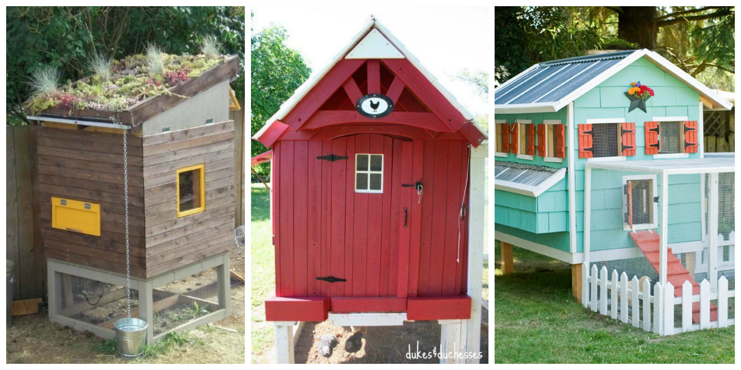 22 DIY Chicken Coops You Need In Your Backyard - DIY Chicken Coop Plans