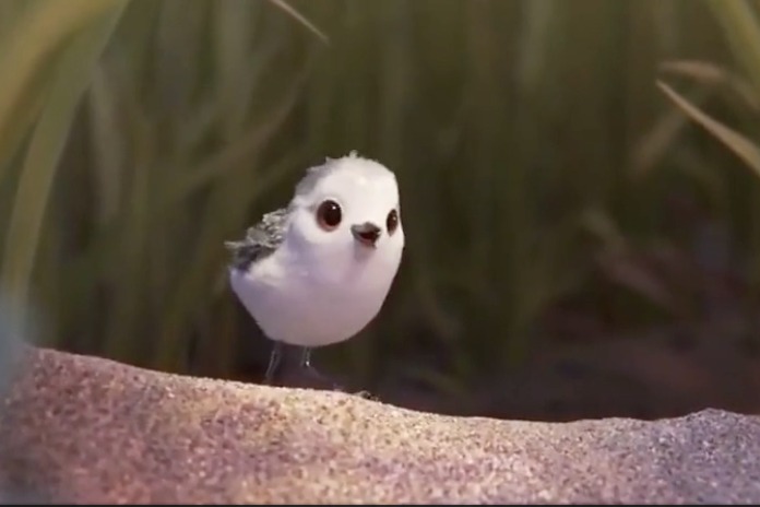 Pixar's Newest Short Film Is Absolutely Adorable - Topics - Forum