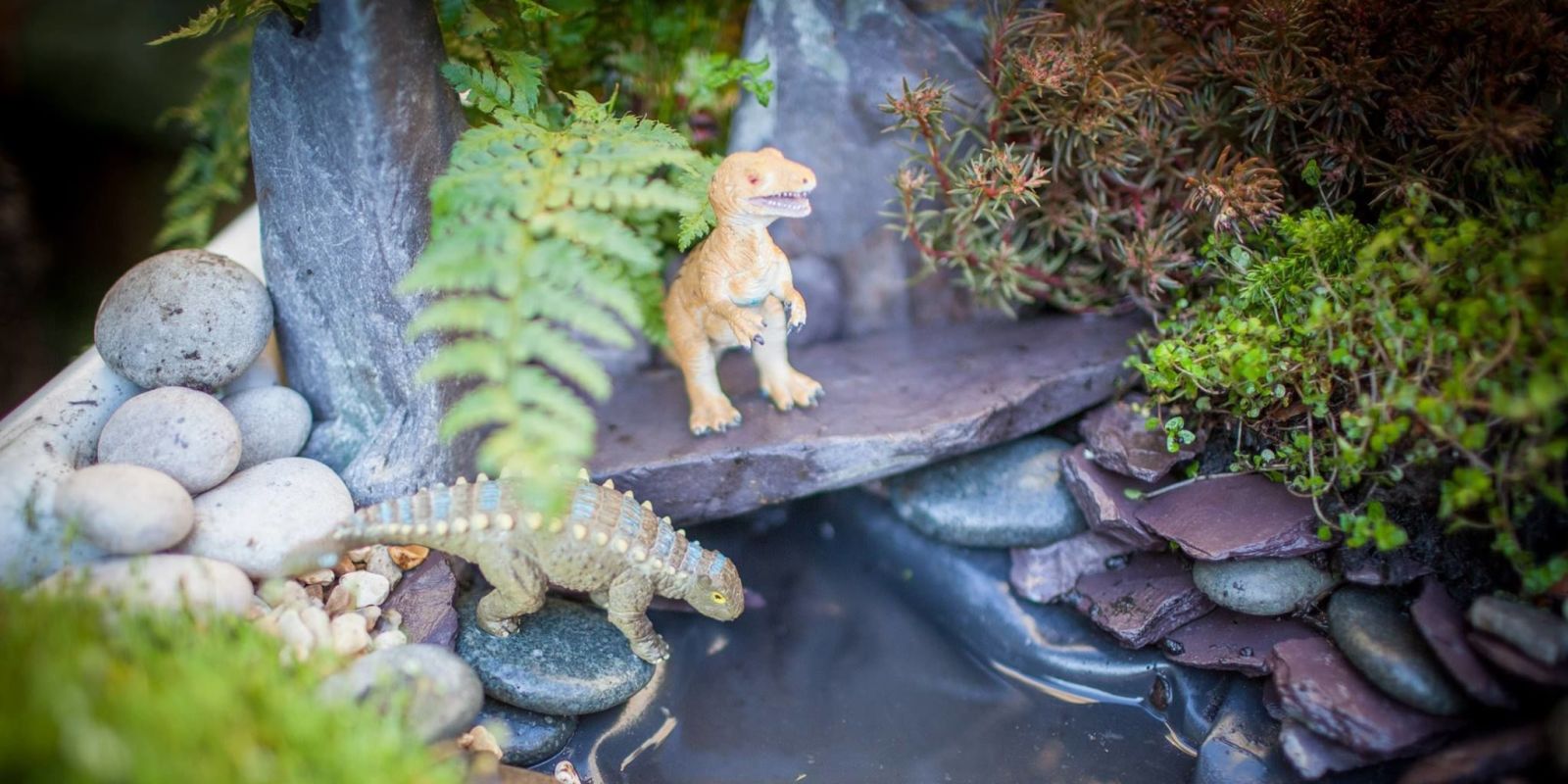 Make Your Own Dinosaur Park