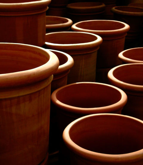 Maintain Your Garden This Fall: TIPS