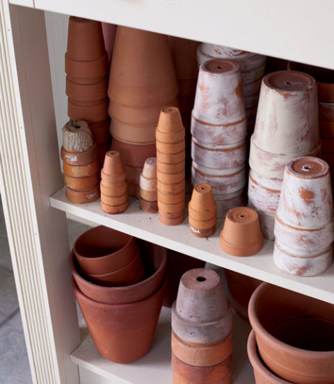 Maintain Your Garden This Fall: TIPS