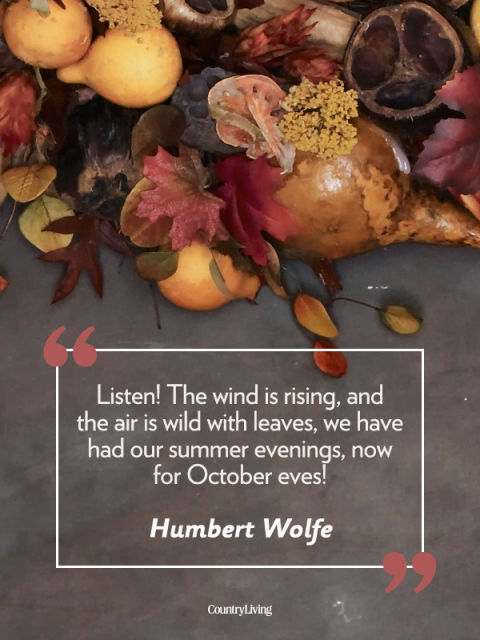 25 Fall Season Quotes - Best Sayings About Autumn